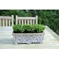 Esschert Design Aged Ceramic Balcony Planter - Walmart.com