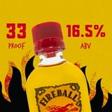 Fireball Cinnamon Malt Beverage, 50ml Bottles, 10 Count, 16.5% Alcohol ...