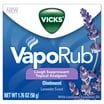 Vicks Vaporub, Adult Cold Menthol Vaporizing Chest Rub Ointment (6 oz ...
