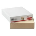 File Folders 1/3 Cut Tab - Manila Letter Size - 100 Pack - Office ...