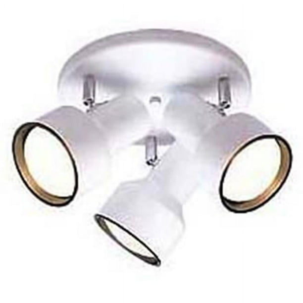 Westinghouse Lighting 6632600 Three Light Multi-Directional Ceiling ...
