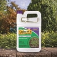 Bonide Liquid Lawn Weed Beater Plus, Crabgrass & Broadleaf Weed Killer ...