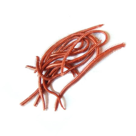 freestylehome 10 Pieces PVC Fake Fishing Worm Lure Bait Portable ...