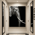 CCOCC 2026 New Wall Posters Full Color Design Wall Decor Easy to Use ...