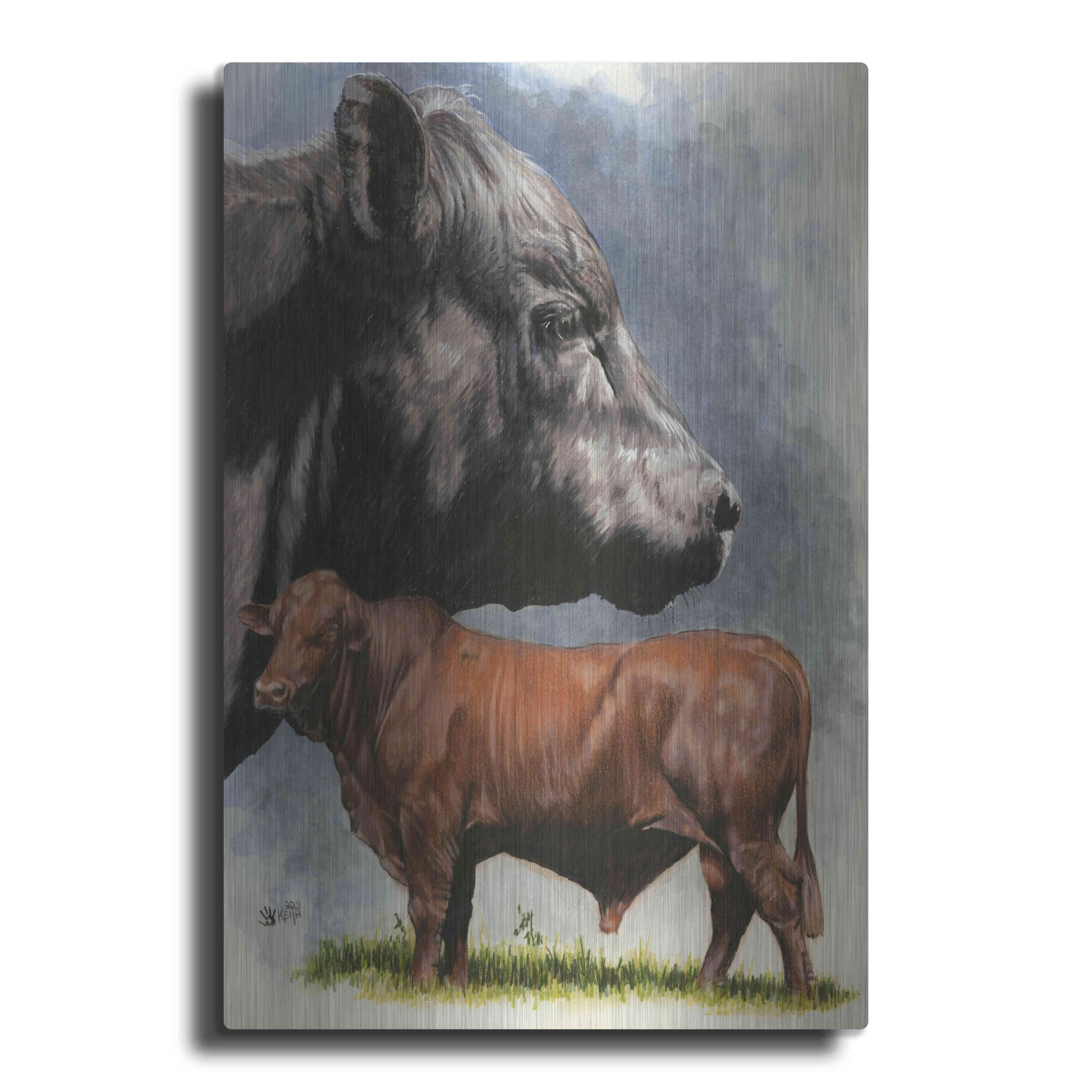 Luxe Metal Art 'Angus Cattle' by Barbara Keith, Metal Wall Art, 24"x36 ...