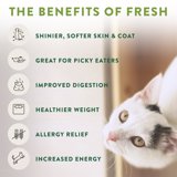 Freshpet Chicken & Vegetables Flavor Fresh Cat Food, Grain-Free, 1 lb ...