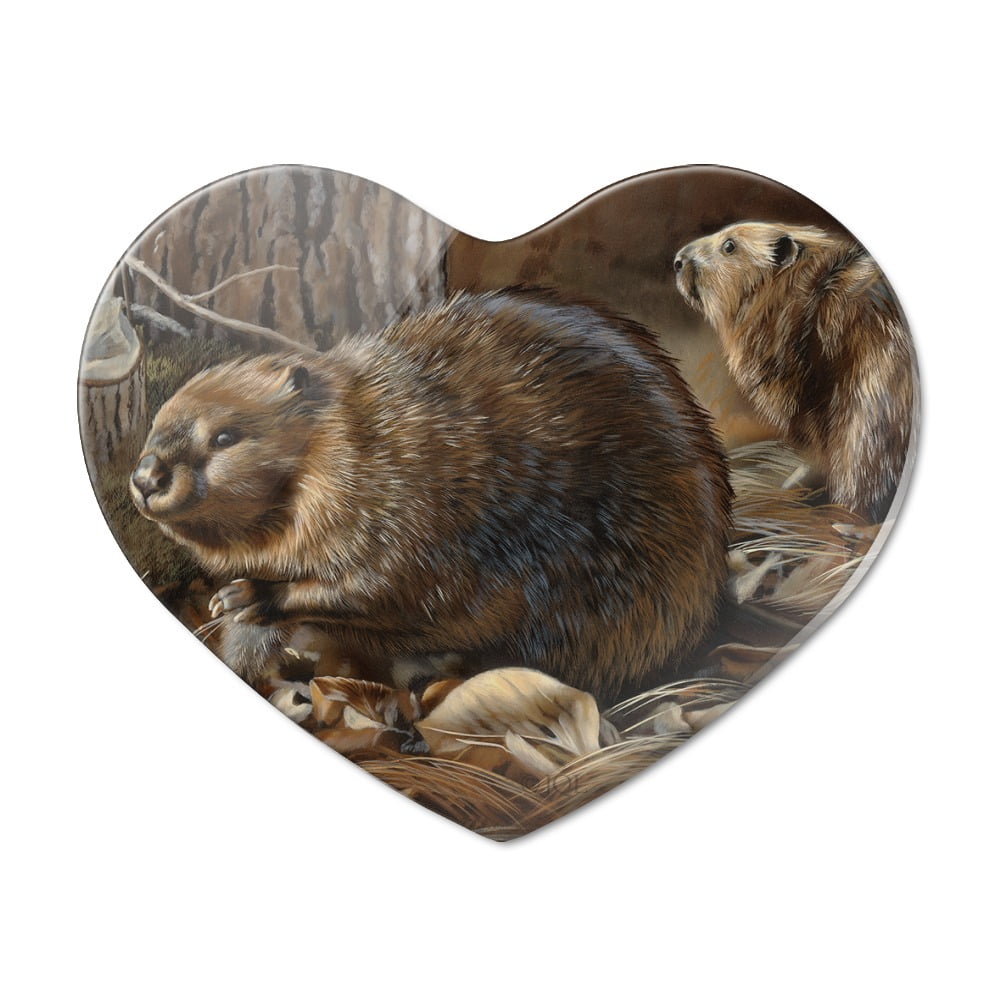 Beaver Being Busy Heart Acrylic Fridge Refrigerator Magnet - Walmart.com