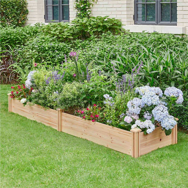 Backyard Vegetable Garden Boxes
