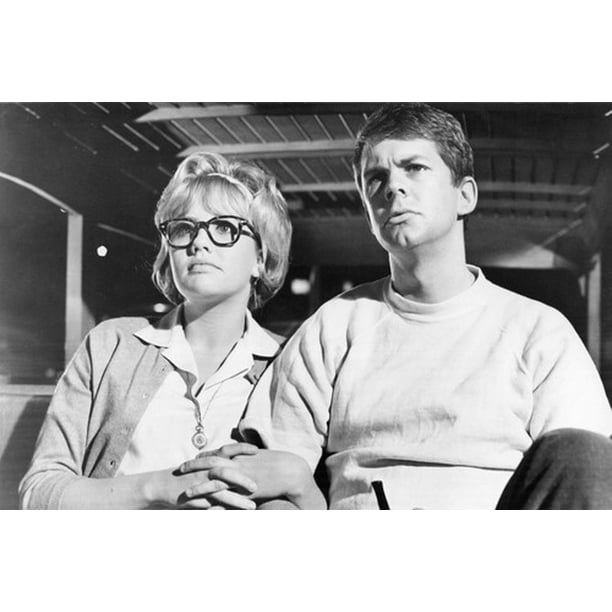 That Darn Cat! Hayley Mills Dean Jones 24x36 Poster - Walmart.com