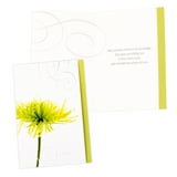 Hallmark Sympathy Card Box Pack (Flowers, 12 Cards with Messages and ...