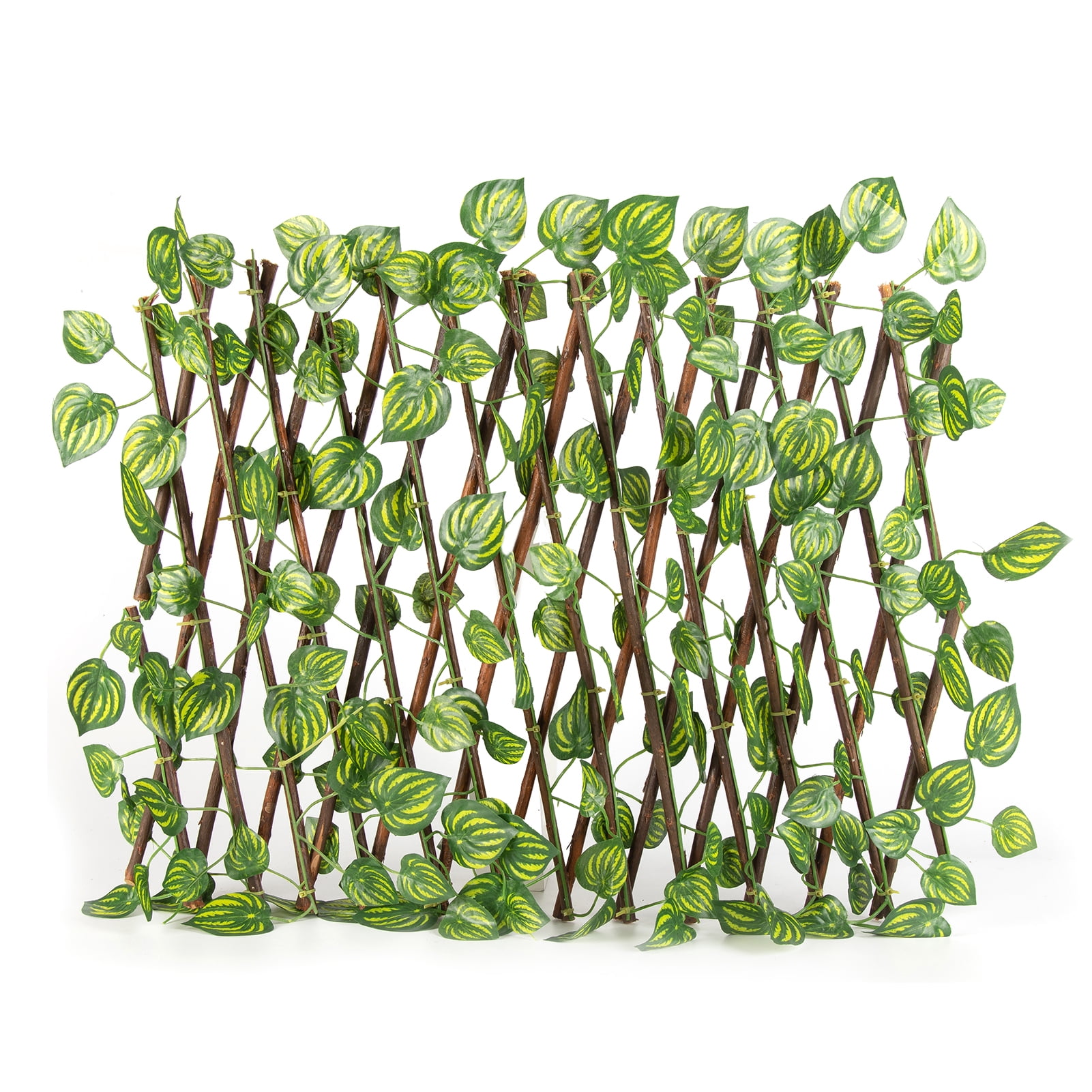 Cerca natural de la planta extensible de la decoración del jardín de ...
