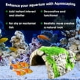 ACDANC Gecko & Ball Python Rock Cave, for Betta Fish, Hermit Crab ...