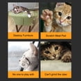 Magic Organ Foldable Cat Scratcher Cardboard with Bell Ball, Claw ...