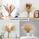 60 Pcs Dried Grass Decor, 17.5" Grass with 3 Colors,Boho Decor Fluffy ...