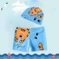 Boys Cartoon Swim Trunks High Elastic Quick Dry Swimsuit Set for Small ...