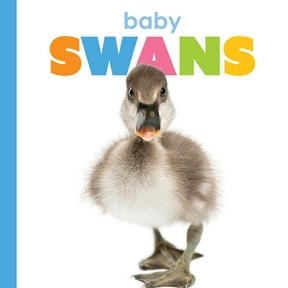 Quack and Count (Board Book) - Walmart.com