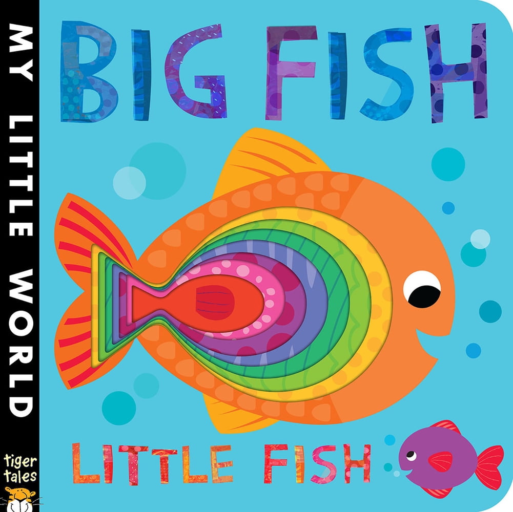 Pre-Owned Big Fish Little Fish (Board book) 1589252152 9781589252158 ...