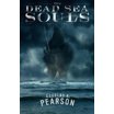 Soul Whisperer : Releasing Lost Souls - Walmart.com