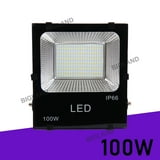 3ox 2-Pack 100W LED Floodlight, Outdoor Spotlight, Garden Light, 6000K ...