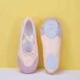 Weebloom Little Girls Ballet Shoes Ballet Performance Gymnastics ...