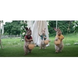 Peter Rabbit 1 & 2 - Kids Family Movie Double Feature (DVD) - Walmart.com