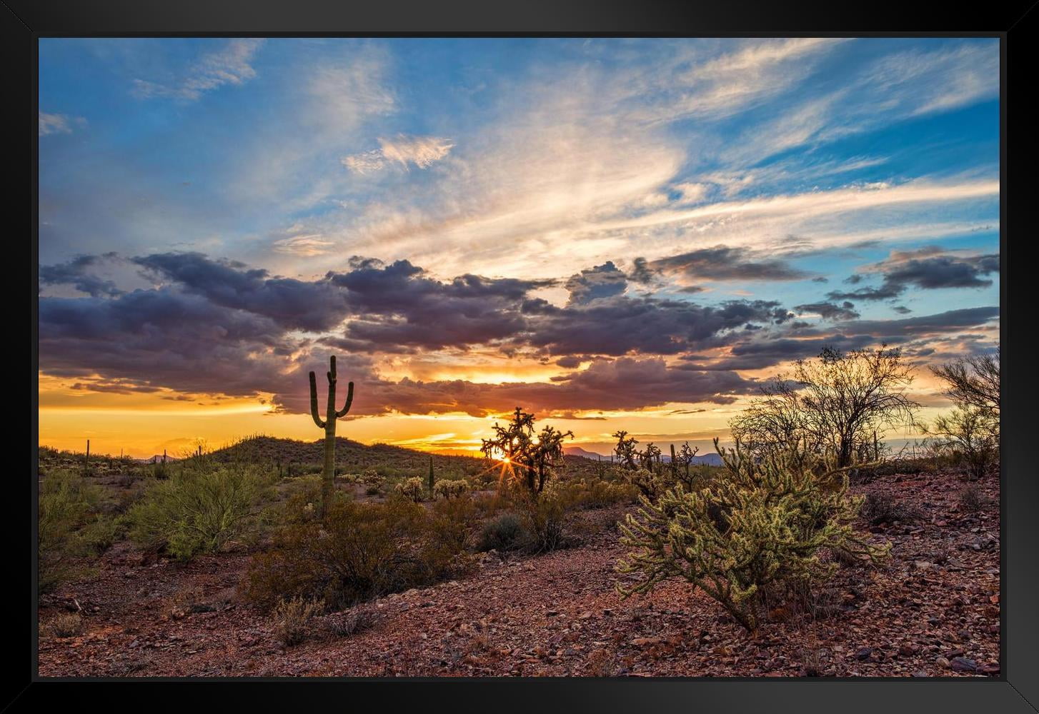 Colorful Sonoran Desert Sunset Saguaro Cactus Photo Photograph Beach ...
