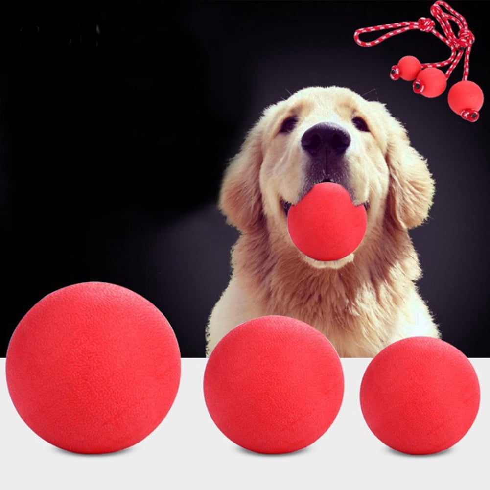 SPRING PARK Solid Training Rubber Ball Pet Puppy Dog Chew Play Fetch ...