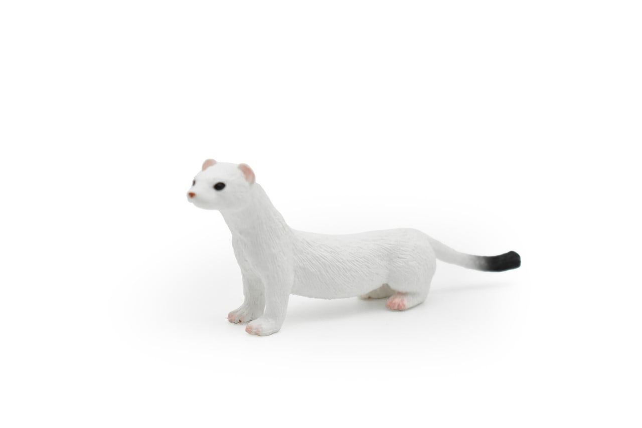 Weasel, White, Museum Quality Rubber Animal, Educational, Realistic ...