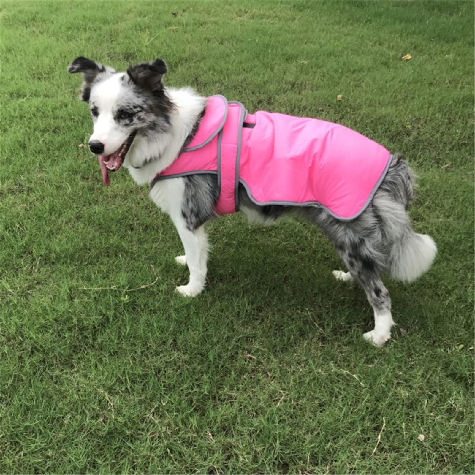 Click here for Sifdseng Pet Clothes For Medium Dogs Male Reflecti... prices