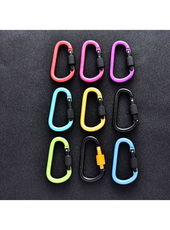 Locking Carabiner Keychain
