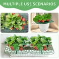 ASDIIT 10pcs Strawberry Plants Supports for Garden Strawberry Growing ...