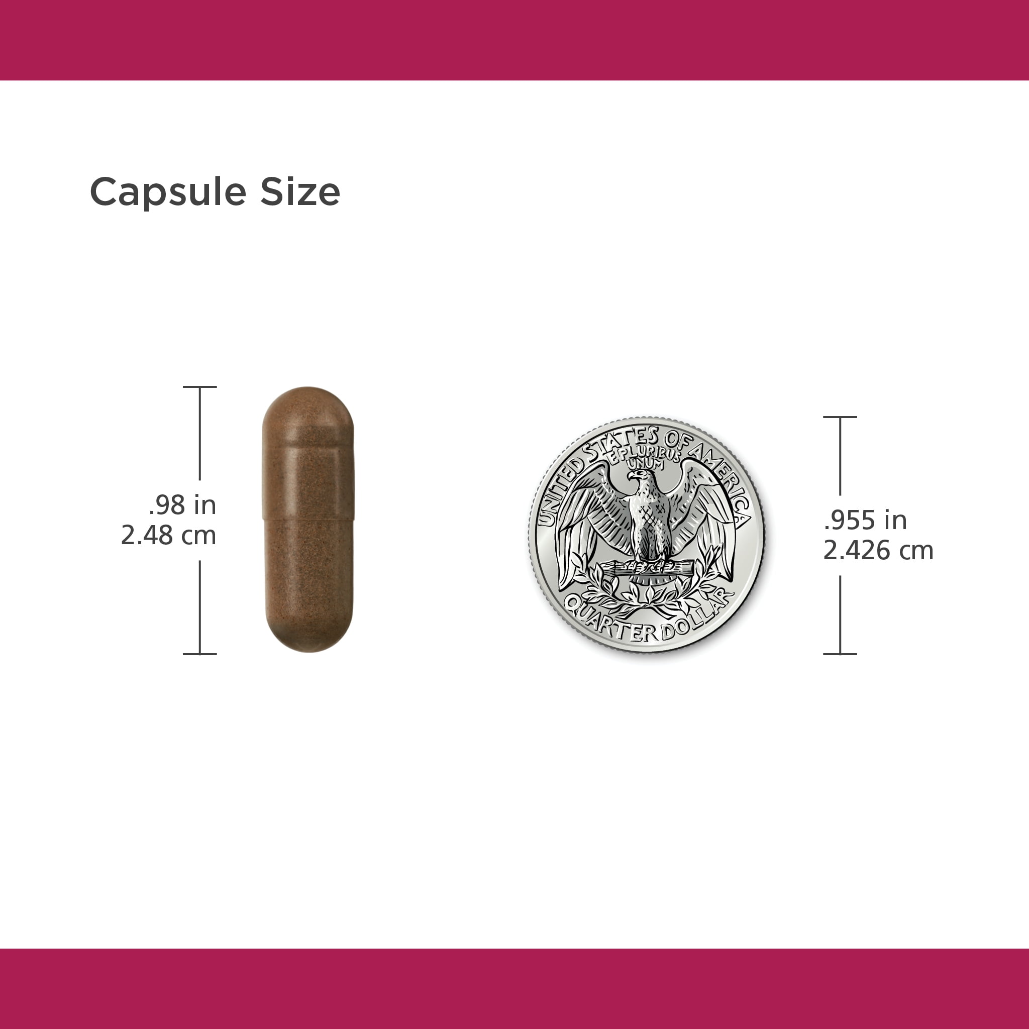 Buy TheraCran One Cranberry Supplement – 36mg PACs Per Capsule, 90 Day ...