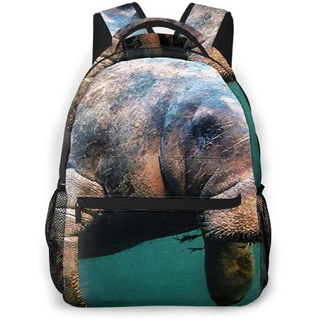 Laptop Backpack Adorable Baby Ferret, School Bag for Boy Girl | Walmart ...