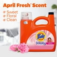 Tide Plus Downy Fabric Softener, Liquid Laundry Detergent, April Fresh ...