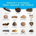 National Geographic Super Fossil Dig Kit - Walmart.com