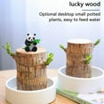 SENGTONG Brazilian Wood Mini Brazil Wood Brazilian Wood Hydroponic Potted 𝐏𝐥𝐚𝐧𝐭 Stump - Walmart.com