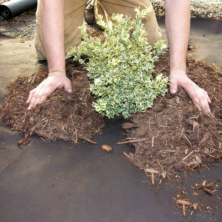 Brown Landscape Fabric Weed Barrier Dewitt Company Pro 3 Oz. 3 Ft. X