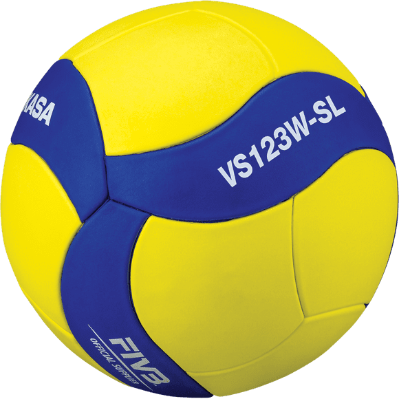 Volley Lite Volleyball