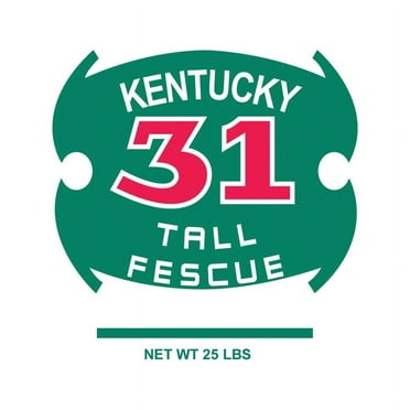 Kentucky 31 K31 Tall Fescue Grass Seed by Eretz 25lb - CHOOSE SIZE ...