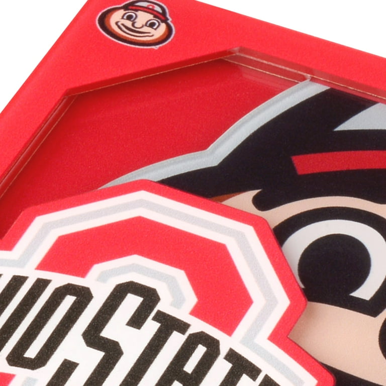Ohio State 3d Logo