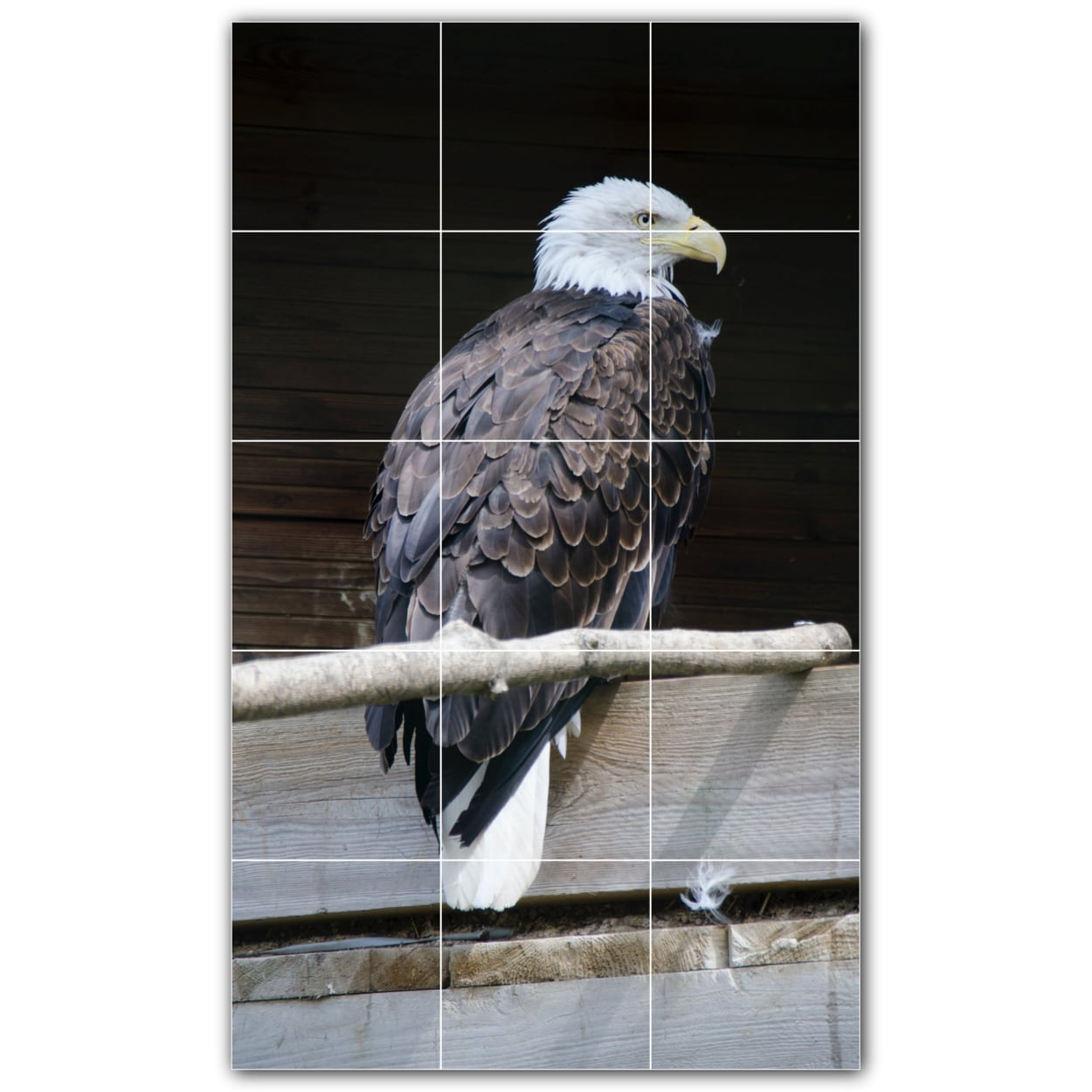 Picture-Tiles.com: Bird Ceramic Tile Wall Mural WAL500166-35M. 18"W x ...