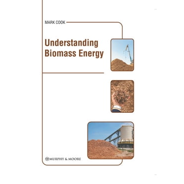 Biomass to Energy Conversion Technologies : The Road to ...