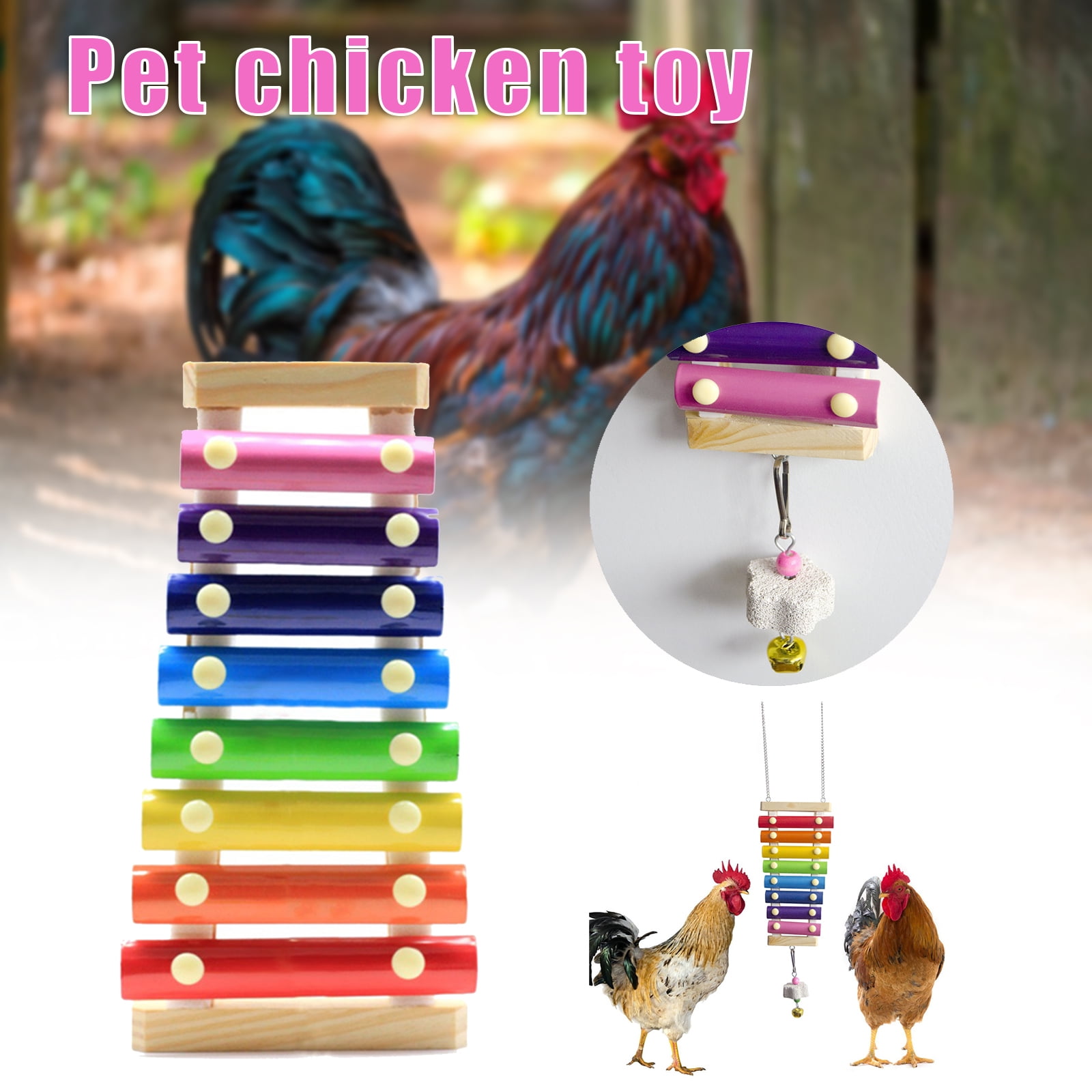 Pet Chickens Toy Medium and Large Parrots Toy Percussion Toy Sound Toy ...