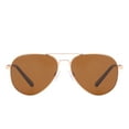 Piranha Eyewear Eclipse Gold Polarized Aviator Sunglasses With Brown