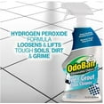 OdoBan 32 oz. Tile and Grout Floor Cleaner (Ready-to-Use) Spray ...