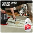 Dirt Devil 32 oz Pet Carpet Cleaner Solution, Stain Remover, Blossom ...