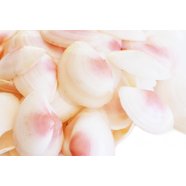 Sea Shell Mixes, Natural - Walmart.com