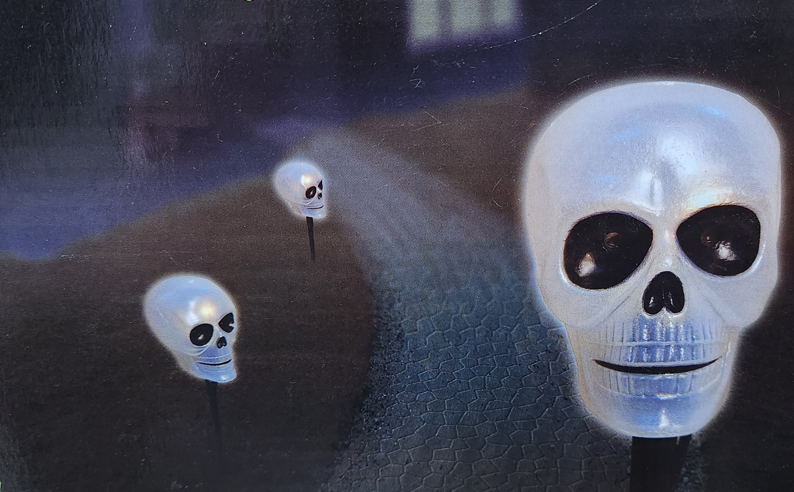 Set of 3 Lighted Skull Pathway Markers Halloween Yard Stake Decoration ...