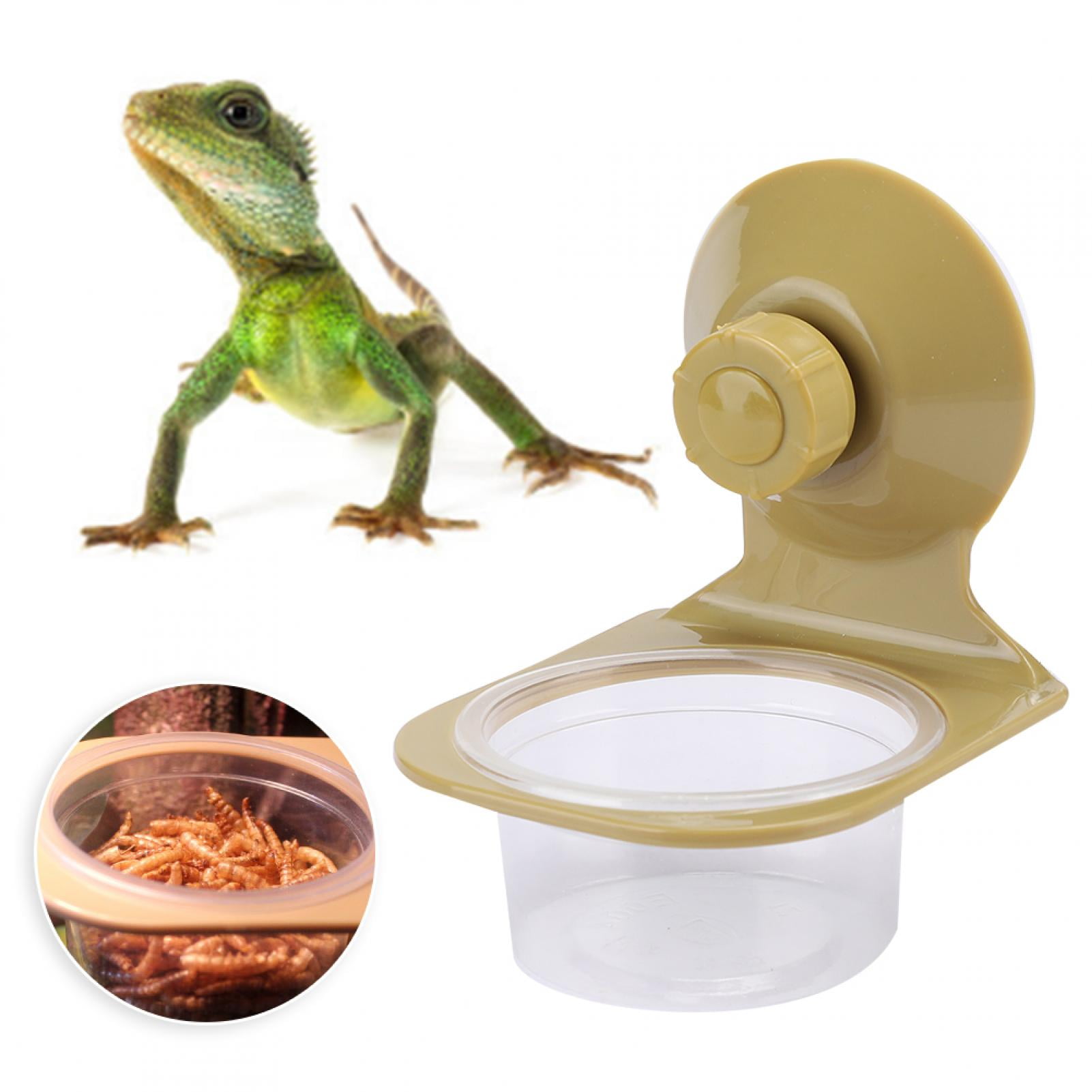 Click here for Youthink Reptile Feeder  Feeding Tool Reptile Hang... prices