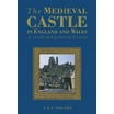 History of Medieval Britain England Under Edward I and Edward II: 1259 ...
